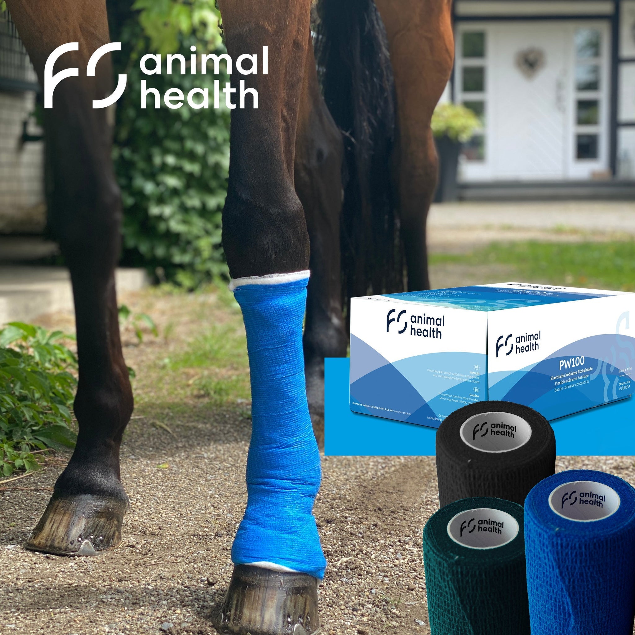 Veterinary Practice Supplies – Page 4