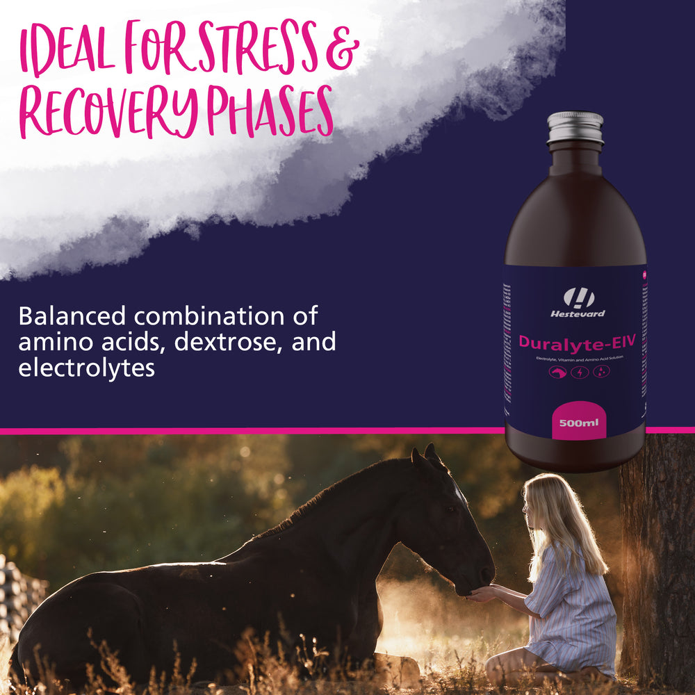 Hestevard Duralyte EIV 500ml