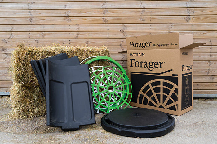 Haygain Forager Slow Feeder - Buy Now | FS animal health