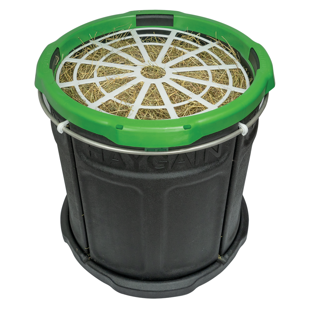 Haygain Forager Slow Feeder - Buy Now | FS animal health