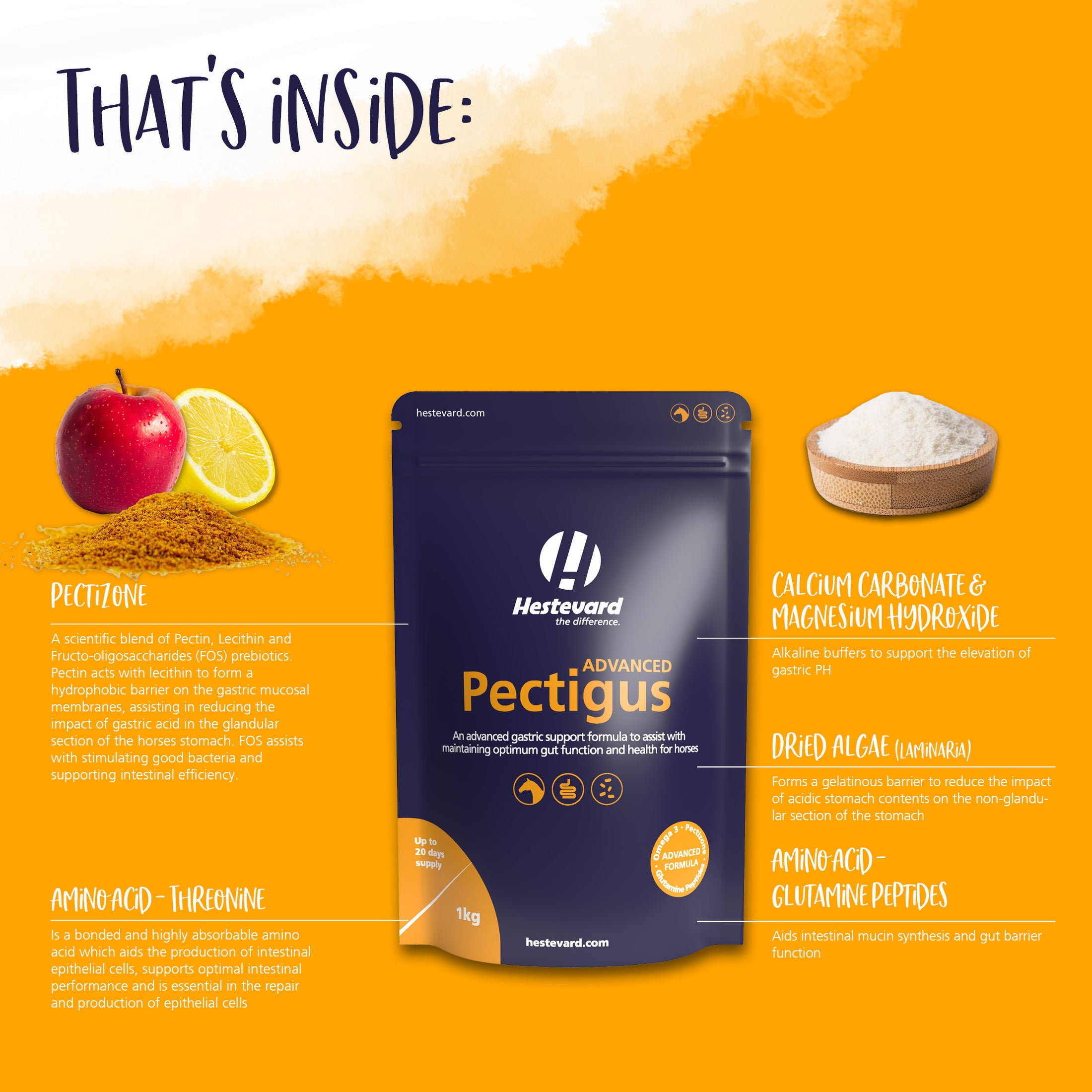 Hestevard Pectigus ADVANCED